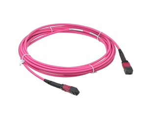 MTP® Patch Cable - Neutrik