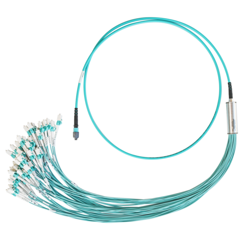 MTP® Breakout Cable - Neutrik